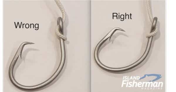 Fishing with Circle Hooks - Island Fisherman Magazine