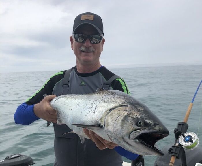 Politics Before Science: New Chinook Regulations Announced - Island ...