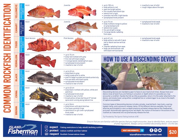 Howe Sound Archives - Island Fisherman Magazine