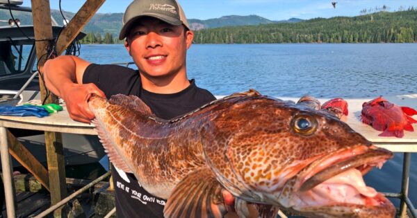 Ike-Jime & Shinkei-Jime: Delay Rigor Mortis and Dispatch Fish Humanely ...