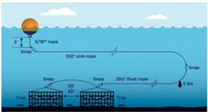 Perfect Prawning - Island Fisherman Magazine