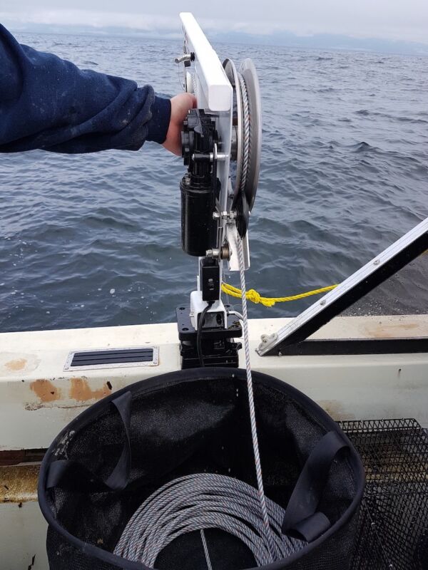 Perfect Prawning - Island Fisherman Magazine