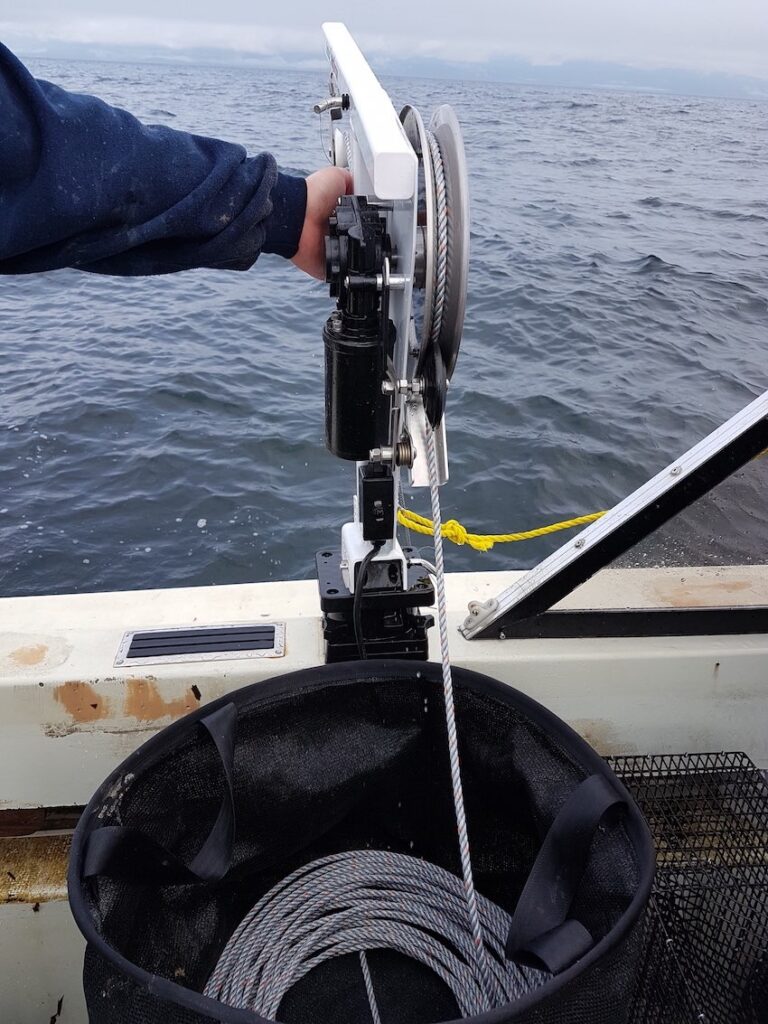 Perfect Prawning - Island Fisherman Magazine