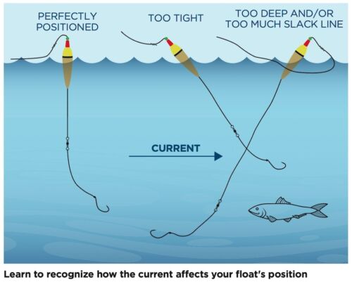 3 Tips For Better Float Fishing - Island Fisherman Magazine