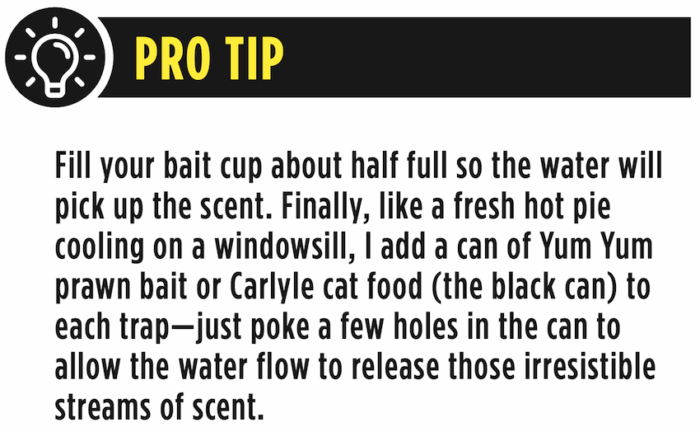 Perfect Prawning - Island Fisherman Magazine