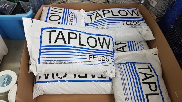 Perfect Prawning - Island Fisherman Magazine