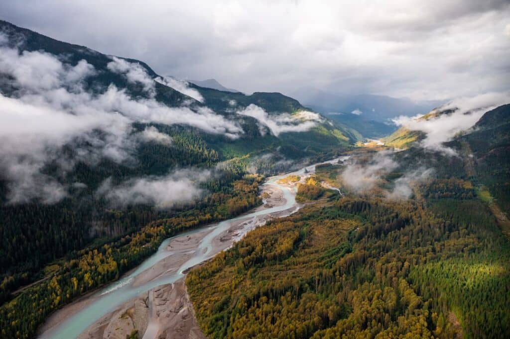 The State of Steelhead in BC - Island Fisherman Magazine